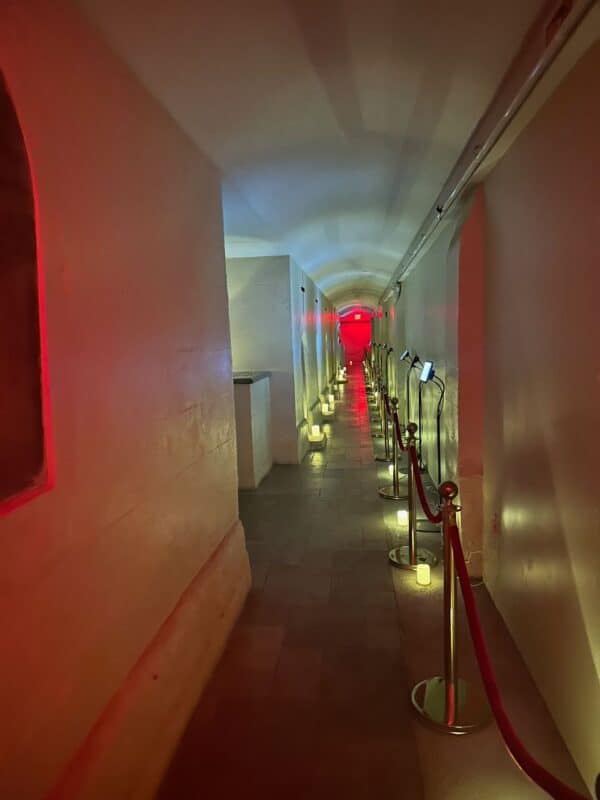New York’s Hidden World: The Catacombs Beneath St. Patrick’s Old ...